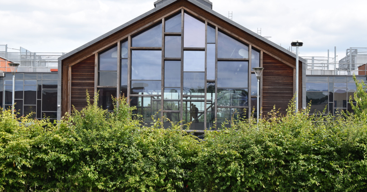 Guide to the Public Sector Decarbonisation Scheme (PSDS) Phase 4 | Eddisons